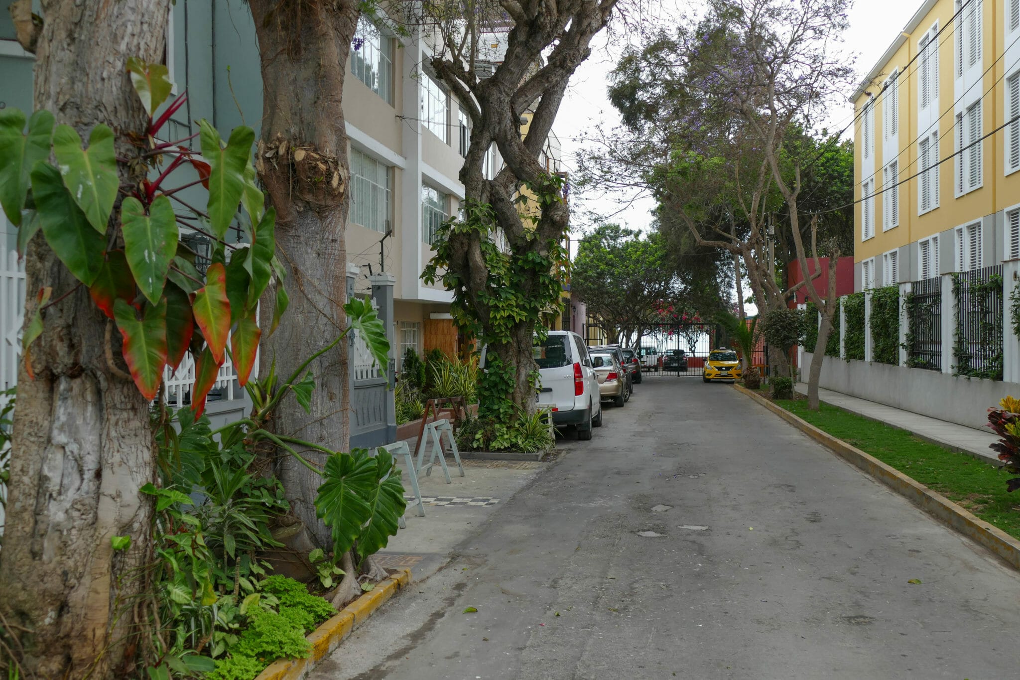 Barranco Launch of Peru Tour, artsy welcoming neighborhood