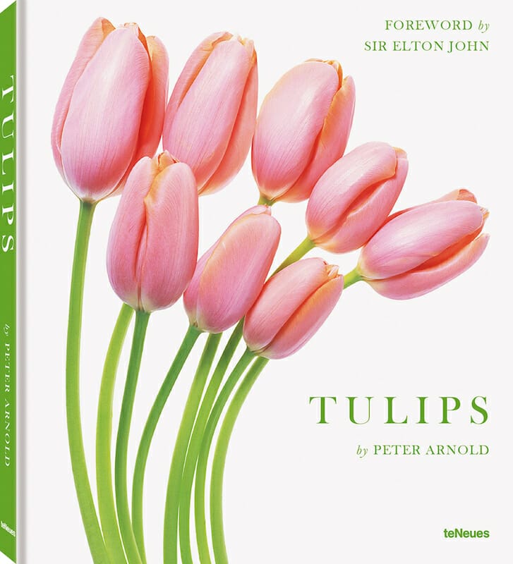TULIPS Book Review — Blooms, Haiku, and Elton John
