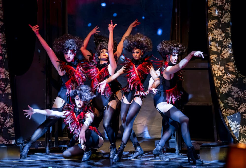 Music Theater Works Presents LA CAGE AUX FOLLES Review